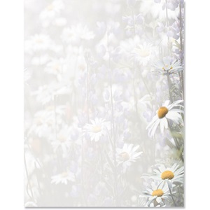 4 Seasons Summer Border Papers | PaperDirect's