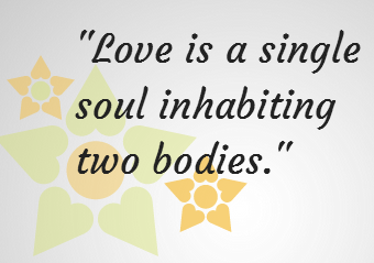 10 Quotes for Wedding Ceremony Programs - PaperDirect Blog